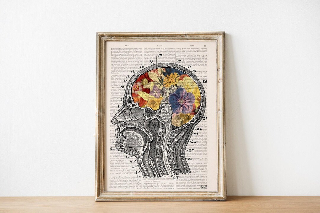 Colorful Brain Anatomy Flower Collage | Dark Academia Therapist Office ...