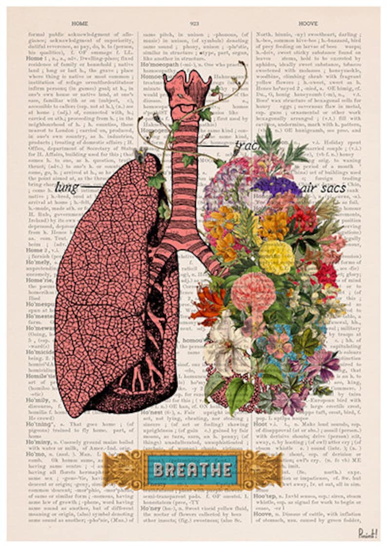Colorful Lungs Poster anatomy art wall art wall decor | Etsy