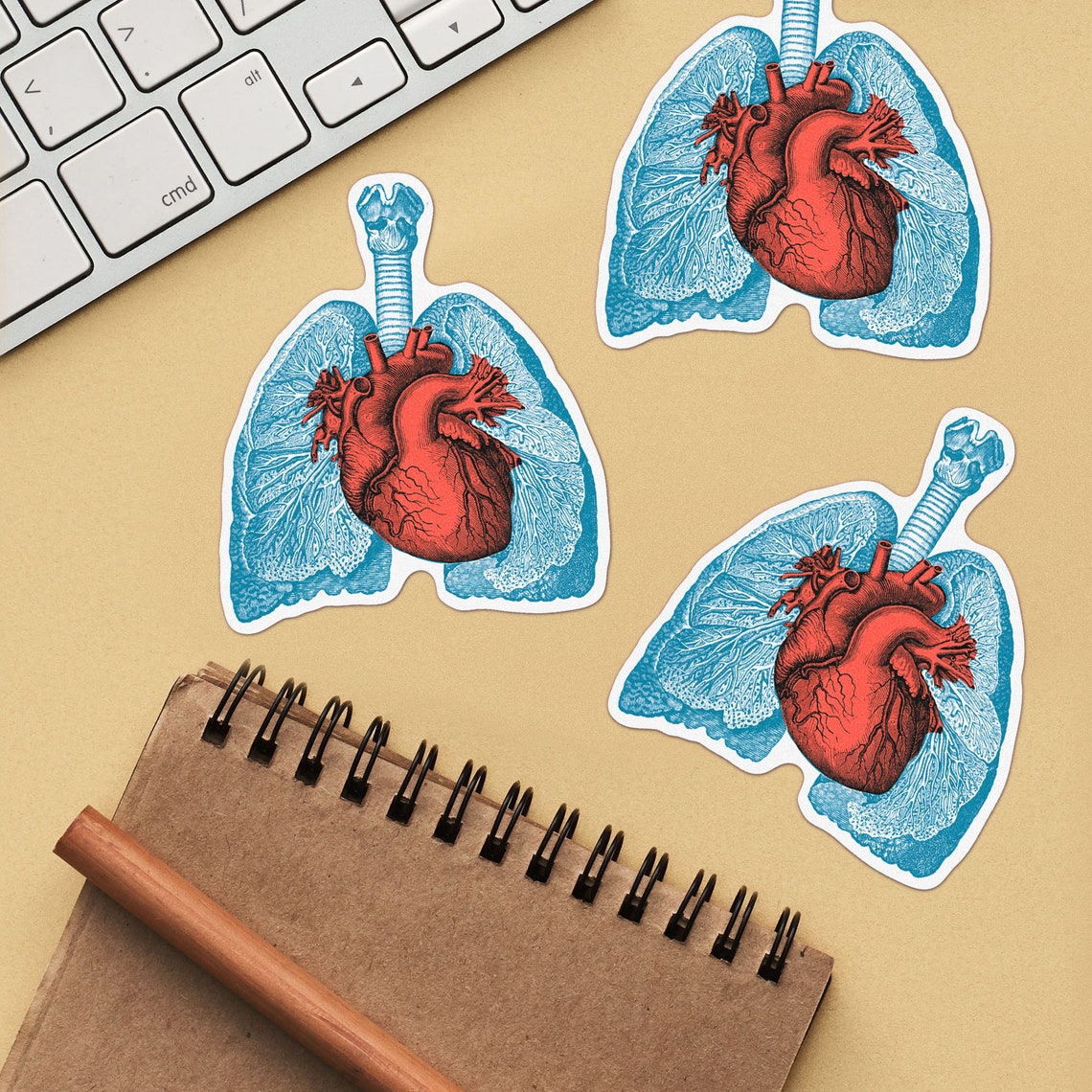 Lungs and Heart Laptop Stickers Medicine Student Gift - Etsy