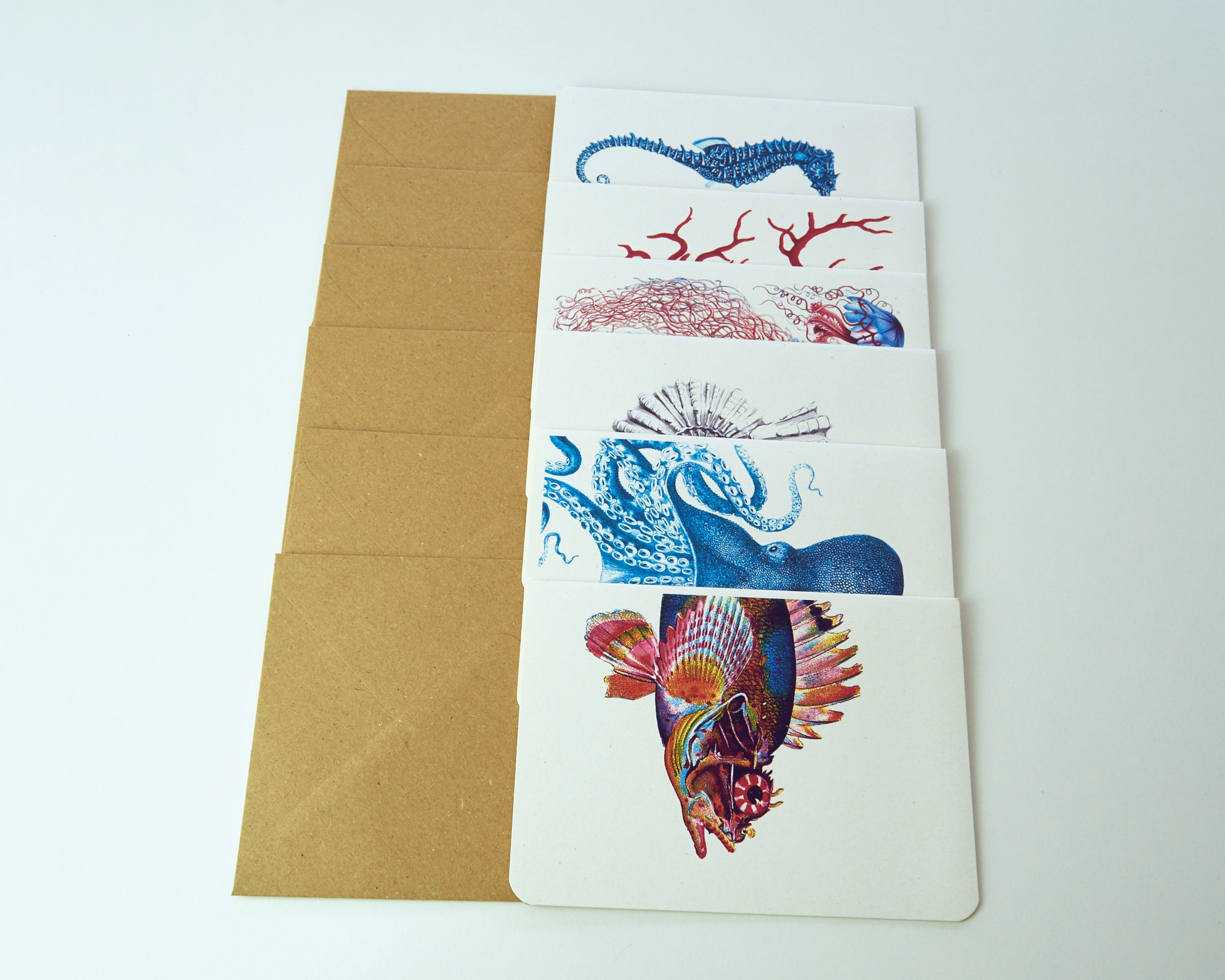 Notecards Set - Gift for Mom - Card Set - Sea Life Cards - Set of 6 ...