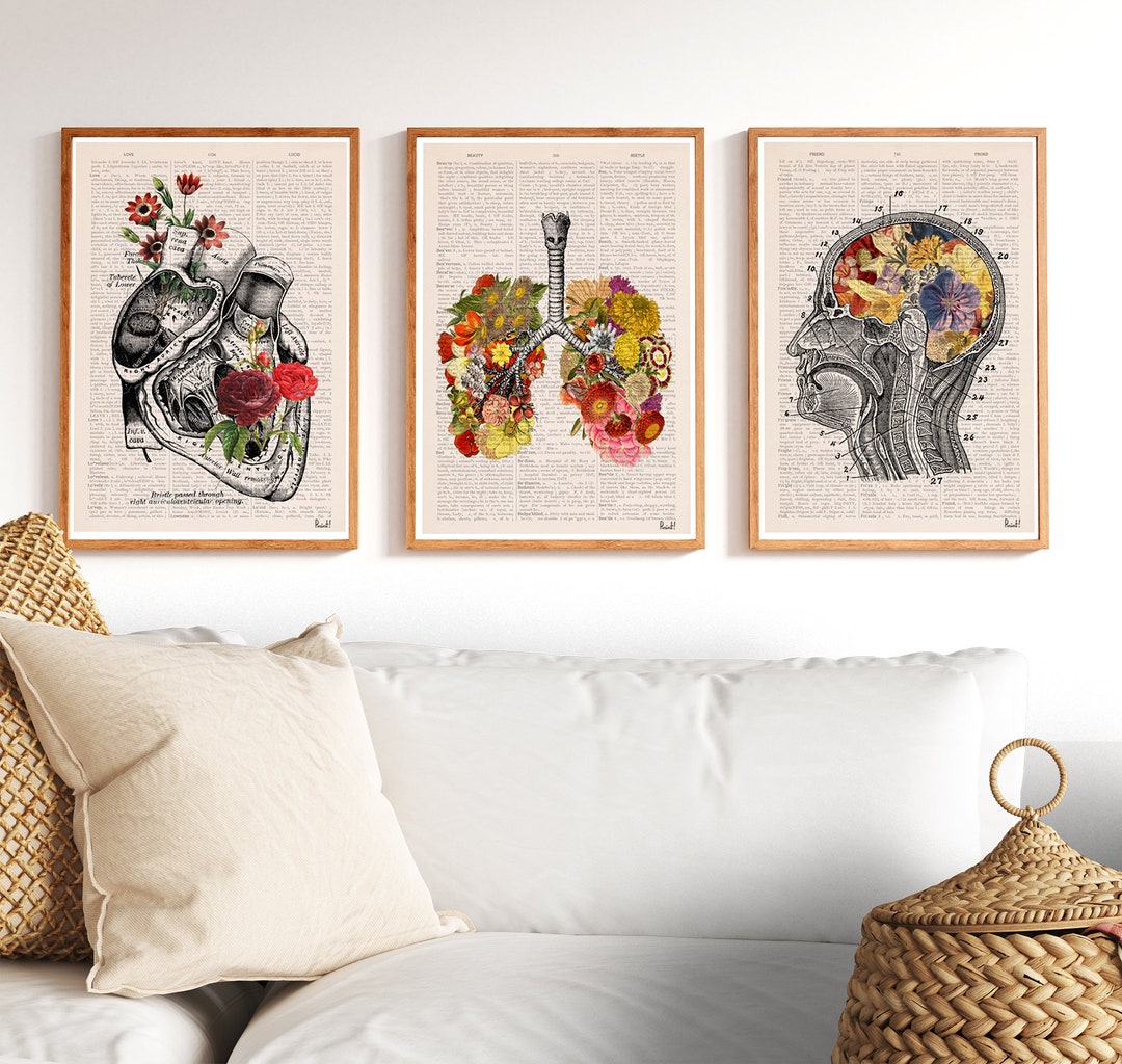 Floral Anatomy Art Prints: Botanical Medical Wall Decor - Set of 3 - Etsy
