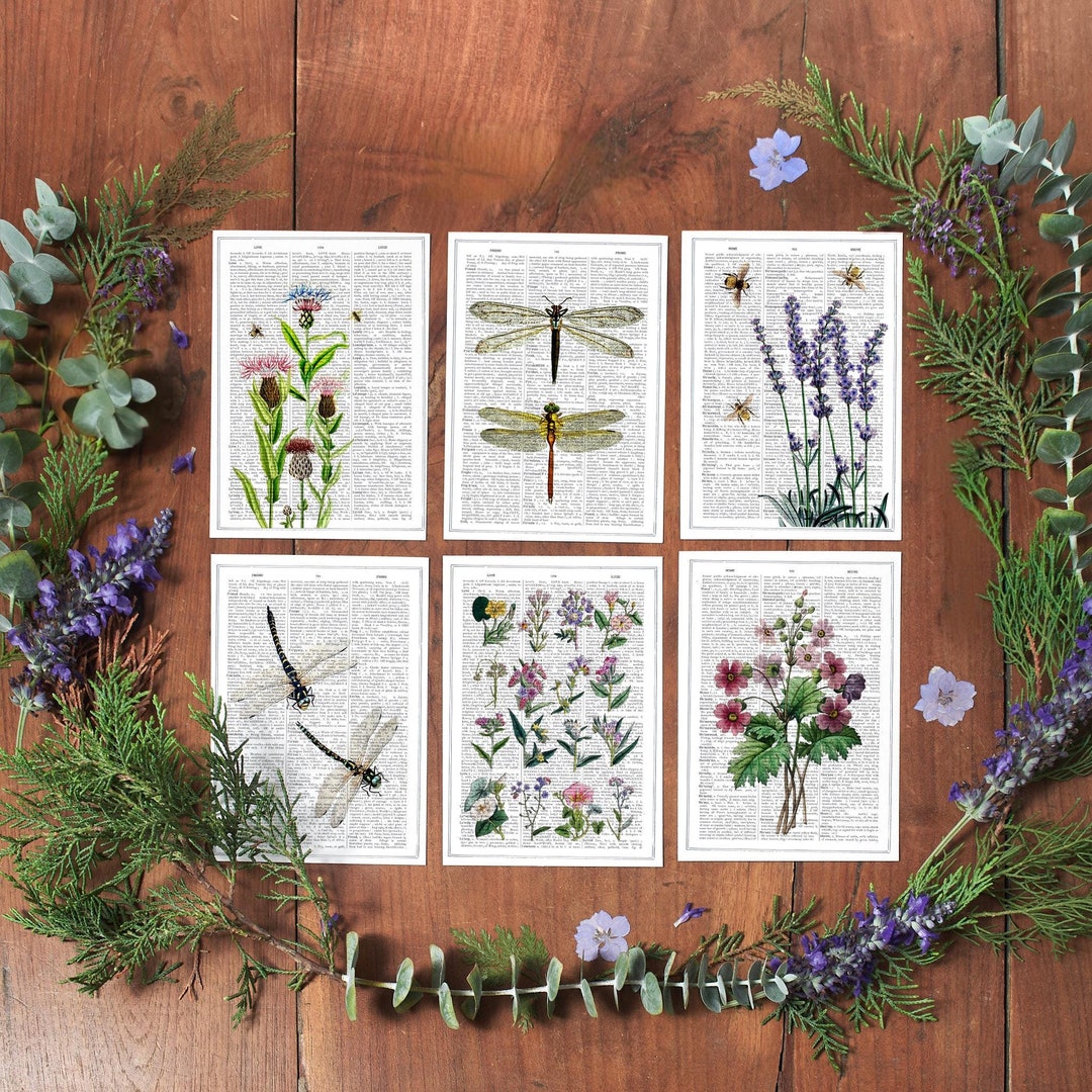 Botanical Postcards Set: Bees, Lilac, Dragonflies - Archival Matte ...