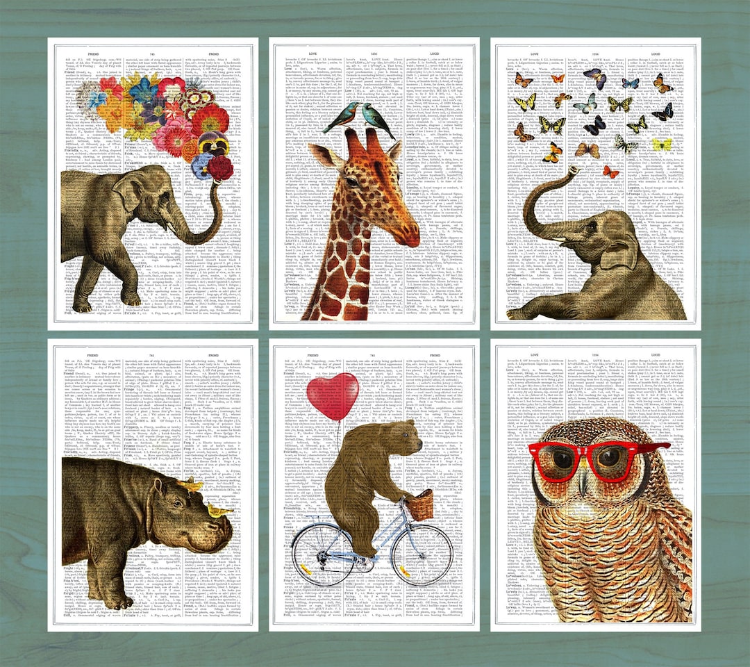 Funny Animal Postcard Set: Elephant, Owl, Bear - Set of 6 - Etsy