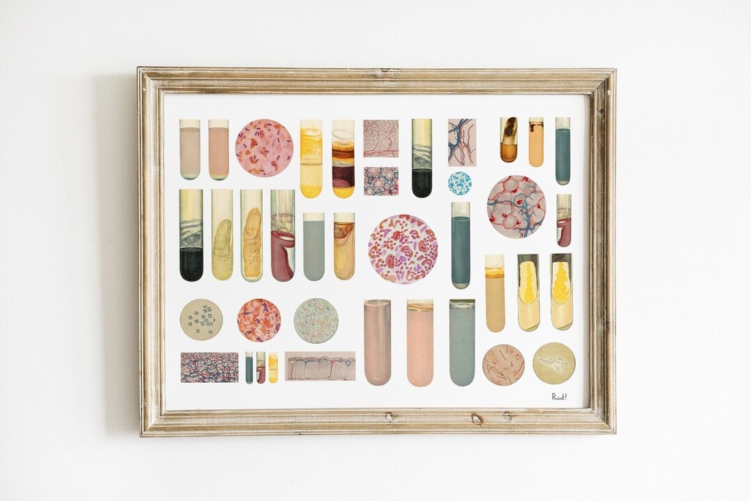 Microbiology Lab Art Print | Test Tube & Bacteria Sample Poster ...