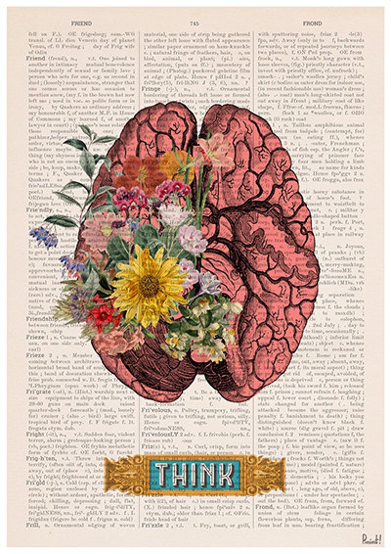 Gehirn-Blume-Kunst Natur Anatomie Anatomie Illustration | Etsy Gehirn-Blume-Kunst Natur Anatomie Anatomie Illustration | Etsy