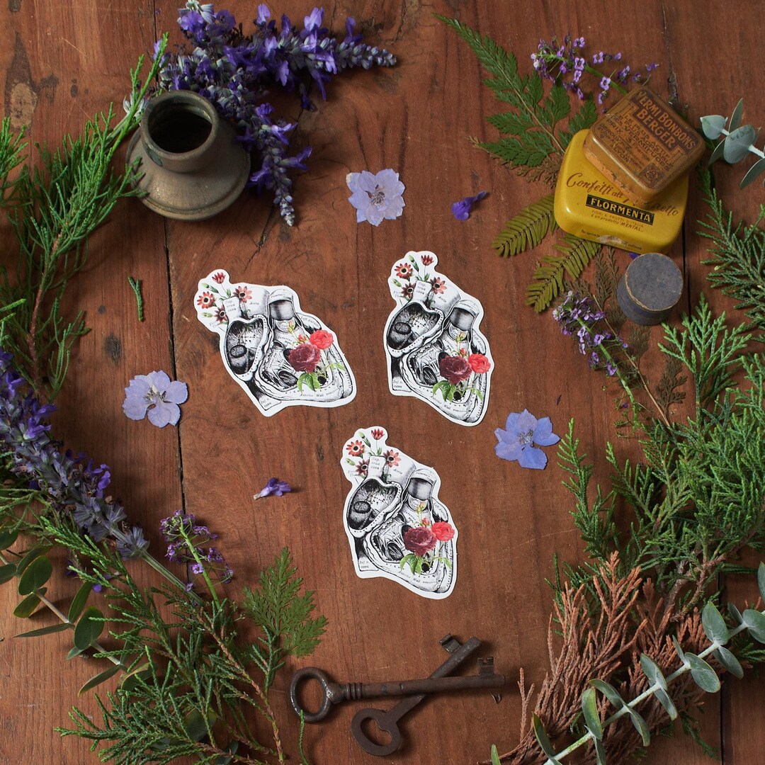 Anatomical Heart Stickers: Floral Human Anatomy, Set of 3 - Etsy