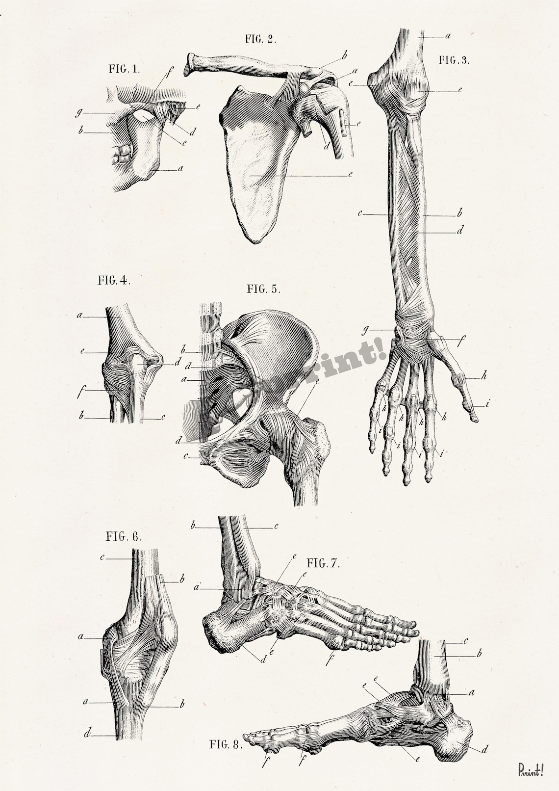 Human anatomy Set of 9 Anatomy Black and white Anatomical | Etsy