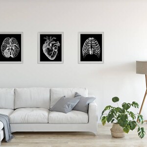 Wall Art Human Heart Anatomy Art Wall Art Home Gifts - Etsy