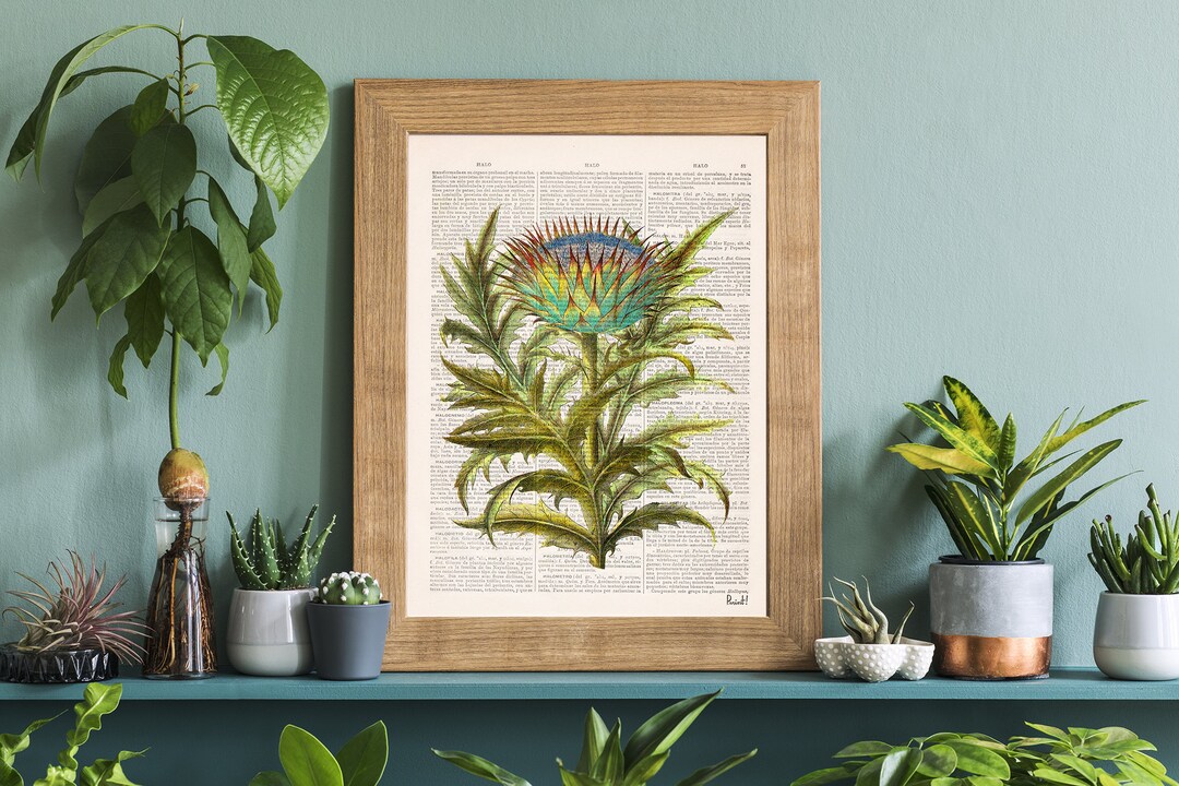Cardoon Flower Print: Botanical Art on Vintage Book Page - Etsy