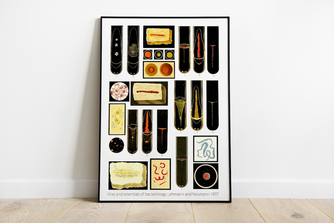 Vintage Bacteria Collection Chart Print | Microbiology Lab Decor ...