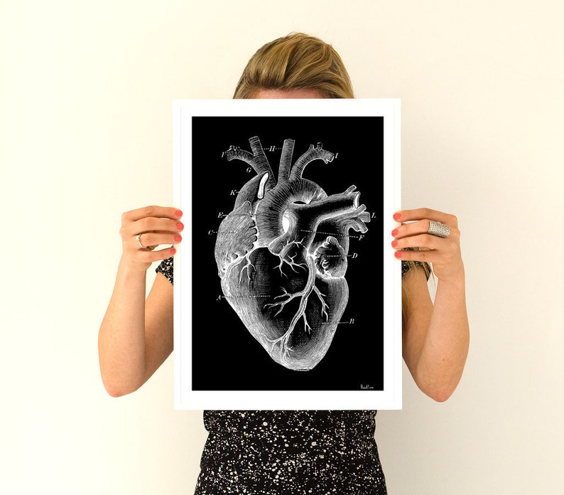 Valentine Wall Artanatomical Heart Art Print: Human Anatomy Poster ...