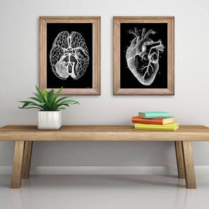 Wall Art Human Heart Anatomy Art Wall Art Home Gifts - Etsy