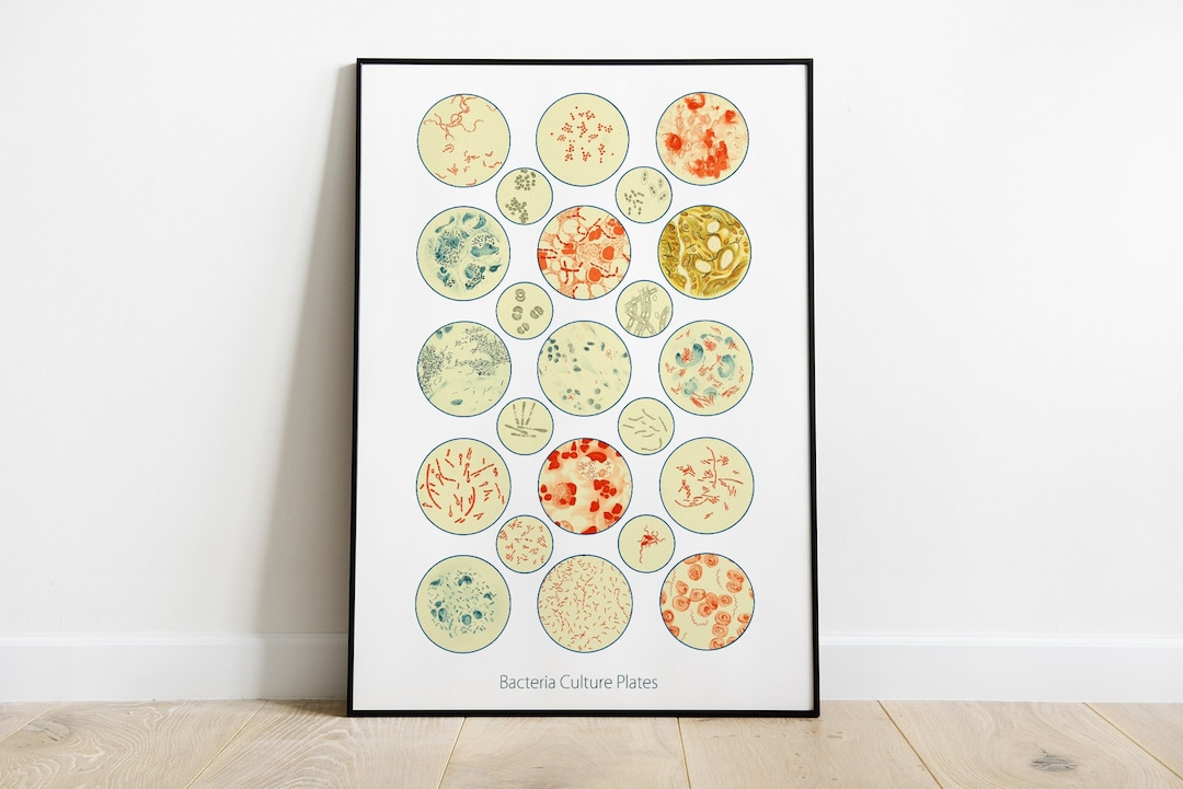 Microbiology Bacteria Collection Poster | Lab Tech Present ...