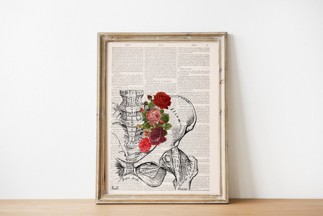 Arte vintage de la pelvis y rosas / Lámina de estudio de anatomía de la ...