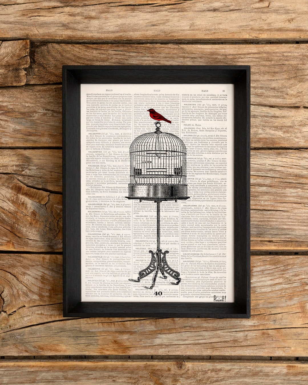 Free Bird Sparrow & Cage Art Print | Freedom Hope Symbolism Gift ...