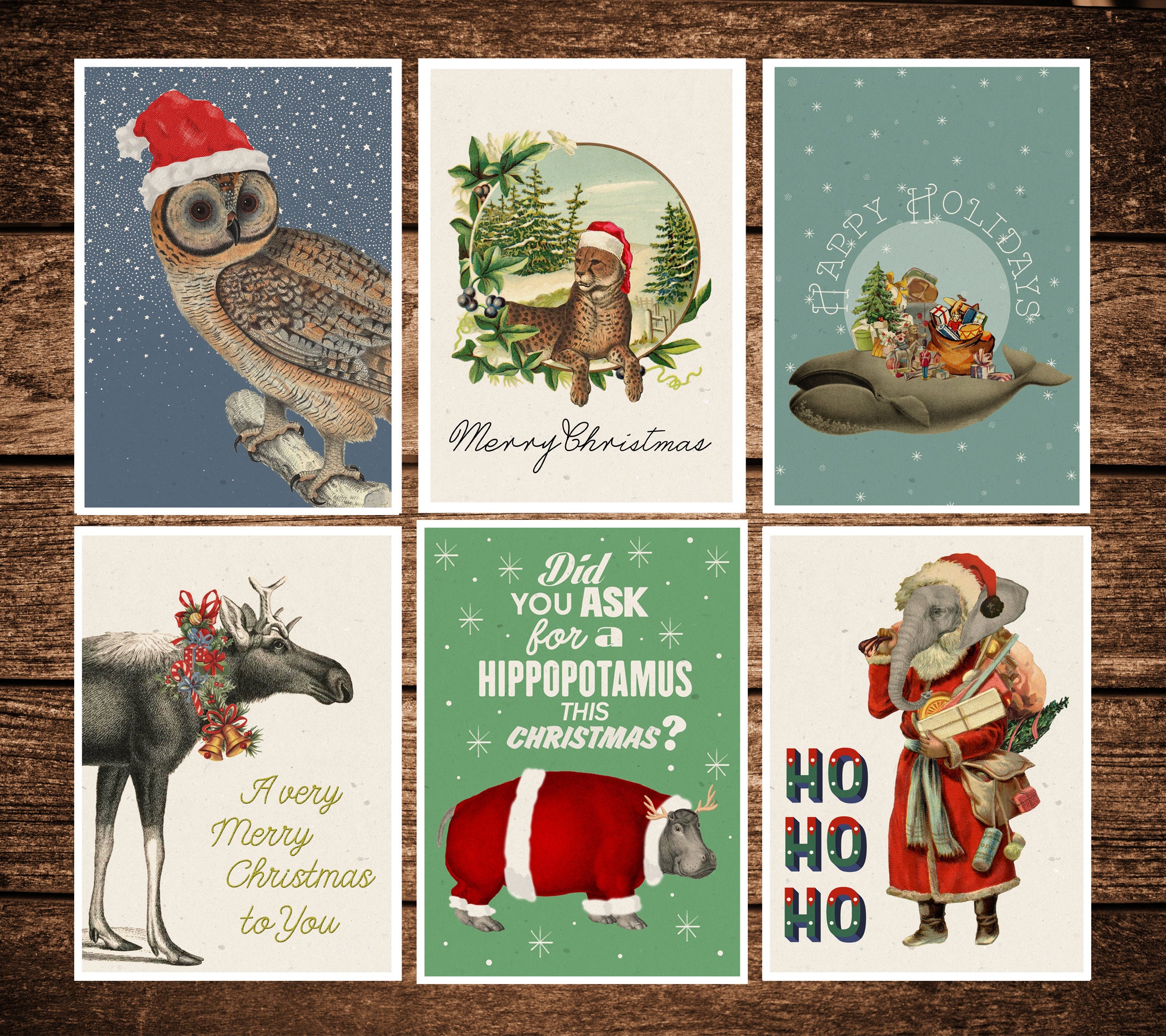 Funny Animal Christmas Cards