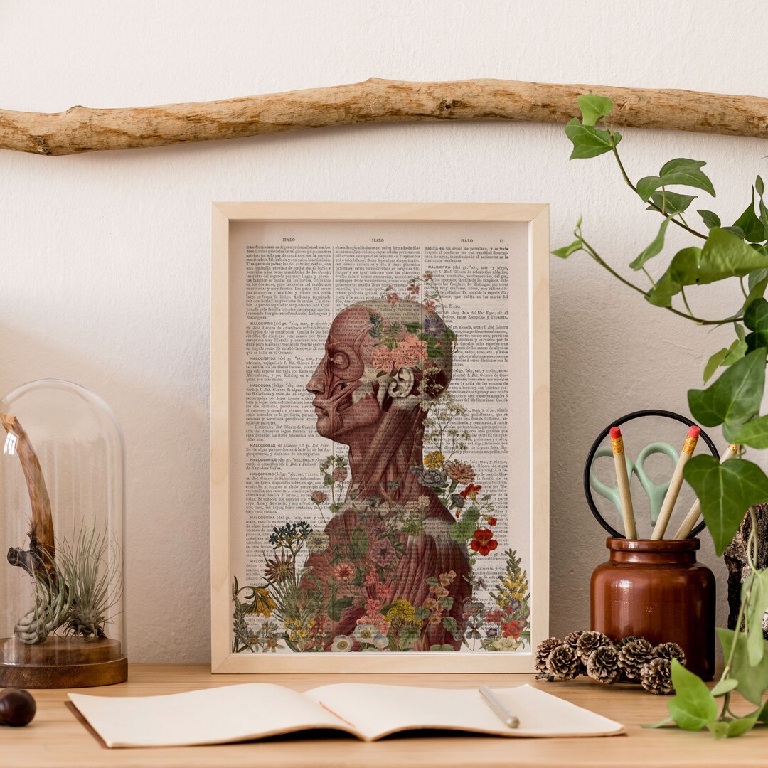 Art Prints Doctor Gift Muscle Anatomy Art Muscle Wall - Etsy