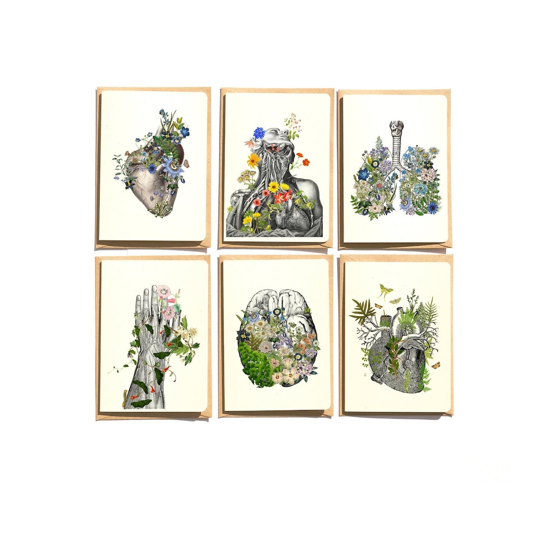 Anatomical Flower Notecards Set: Medical Greetings, Thank You Cards - Etsy