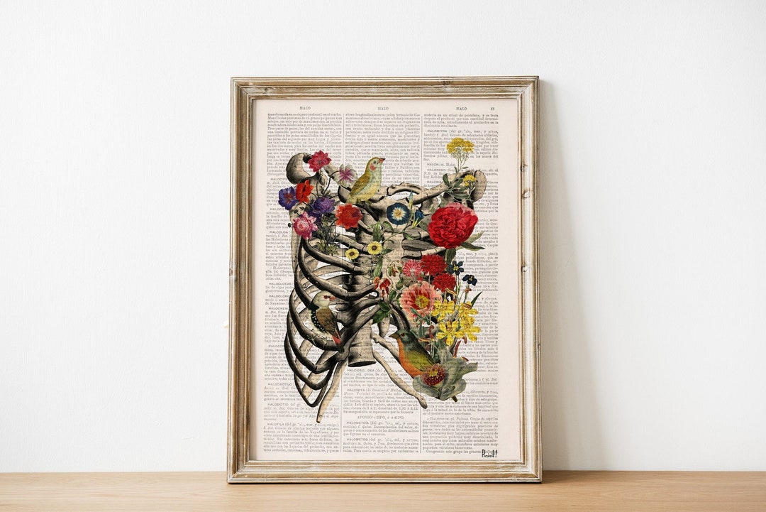 Soft Colored Rib Cage & Birds Floral Art | Eco-friendly Anatomy Collage ...