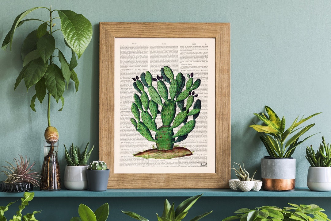 Opuntia Cactus Print: Vintage Book Page Art - Etsy