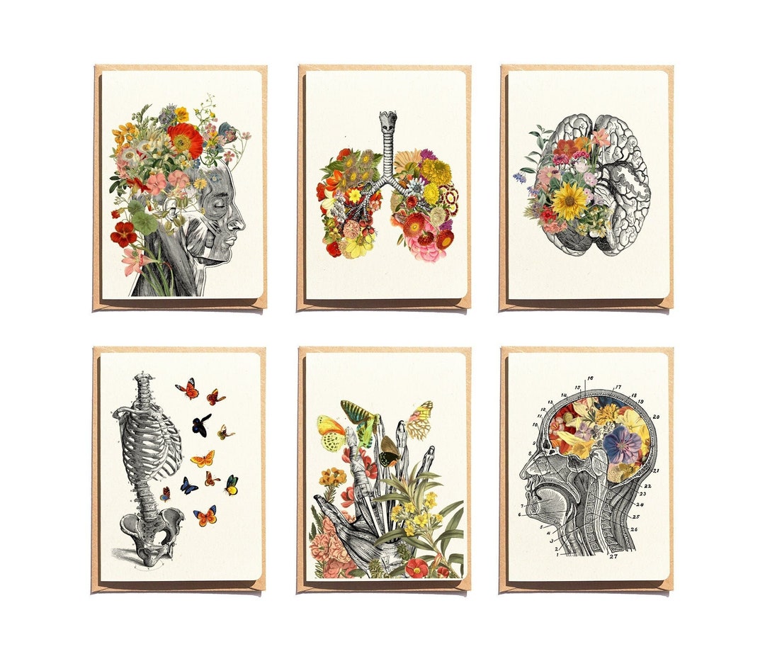 Anatomical Flower Notecards Set: Medical Greetings, Thank You Cards - Etsy