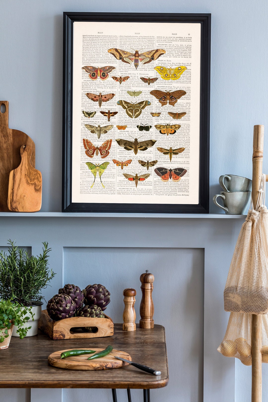 Neutral Wall Art - Moth Art Print - Butterfly Wall Art - Educational ...