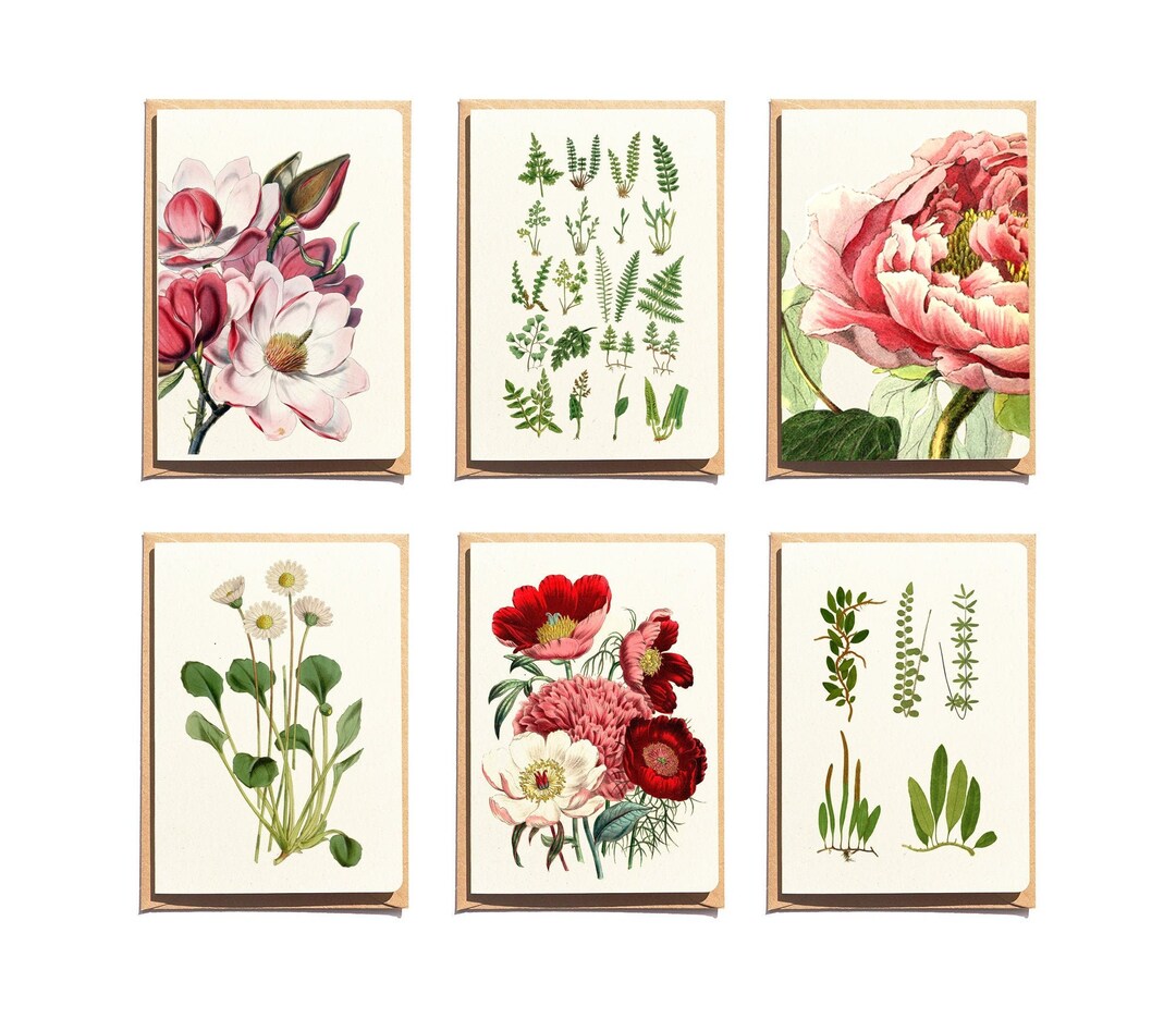 Botanical Note Cards: Floral Thank You Cards, Set of 6 - Etsy