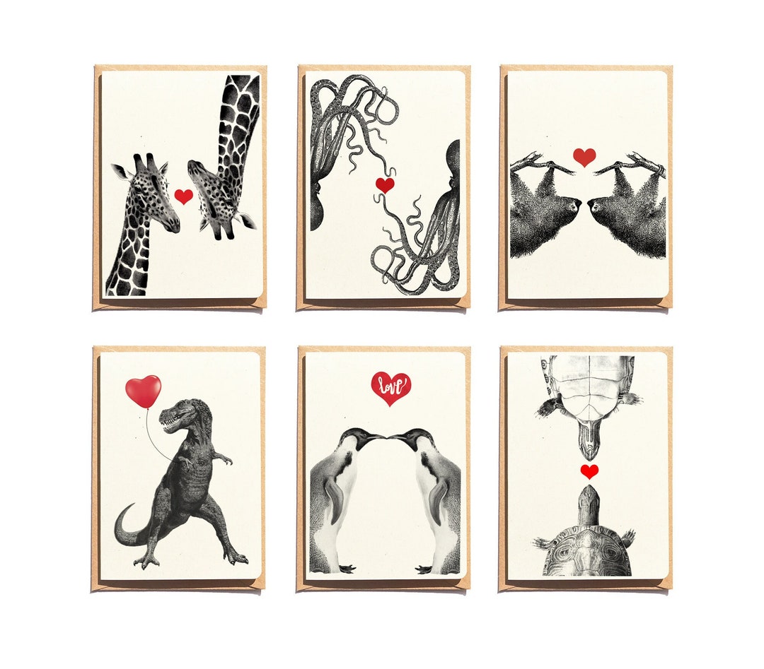 Notecards Set - Funny Animal Card - Thank You Card - Set of 6 - Fun ...