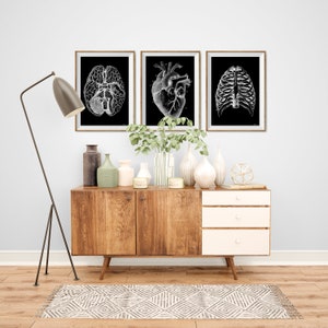Wall Art Human Heart Anatomy Art Wall Art Home Gifts - Etsy