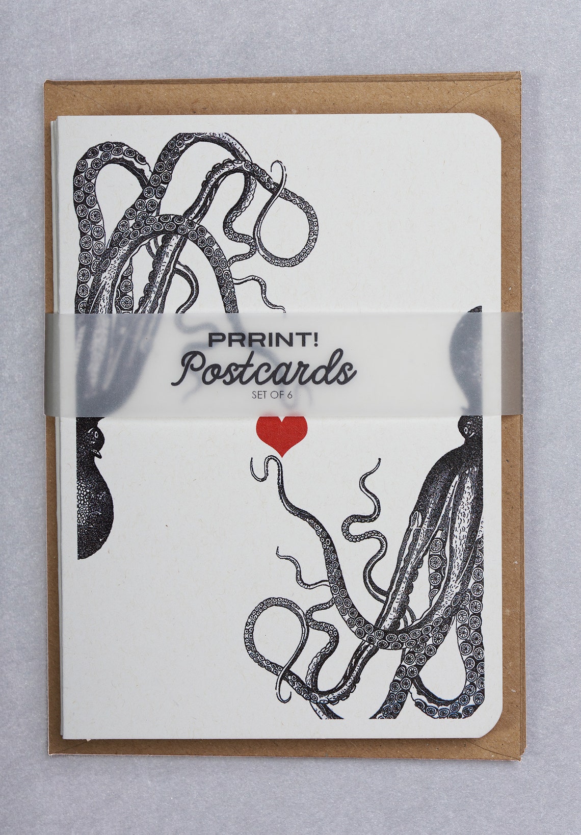 Notecards Set Funny Animal Card Thank You Card Set of 6 - Etsy