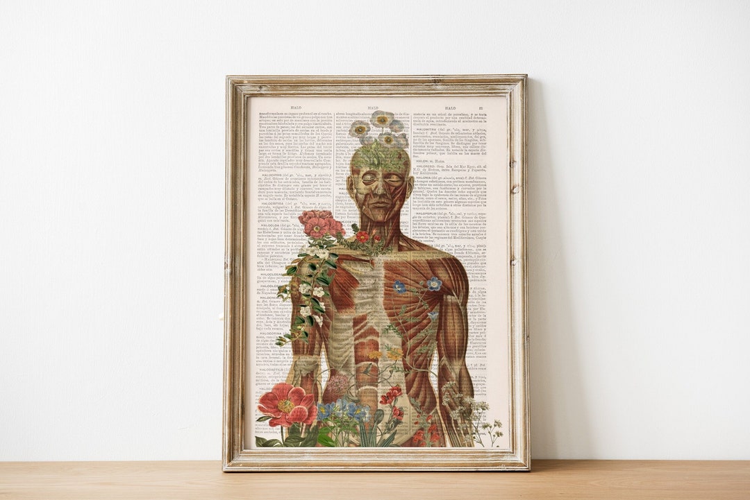 Graduation Gift Home Gift Muscle Anatomy Art Anatomy Wall Art Muscle ...