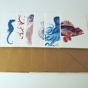 Notecards Set - Gift for Mom - Card Set - Sea Life Cards - Set of 6 ...