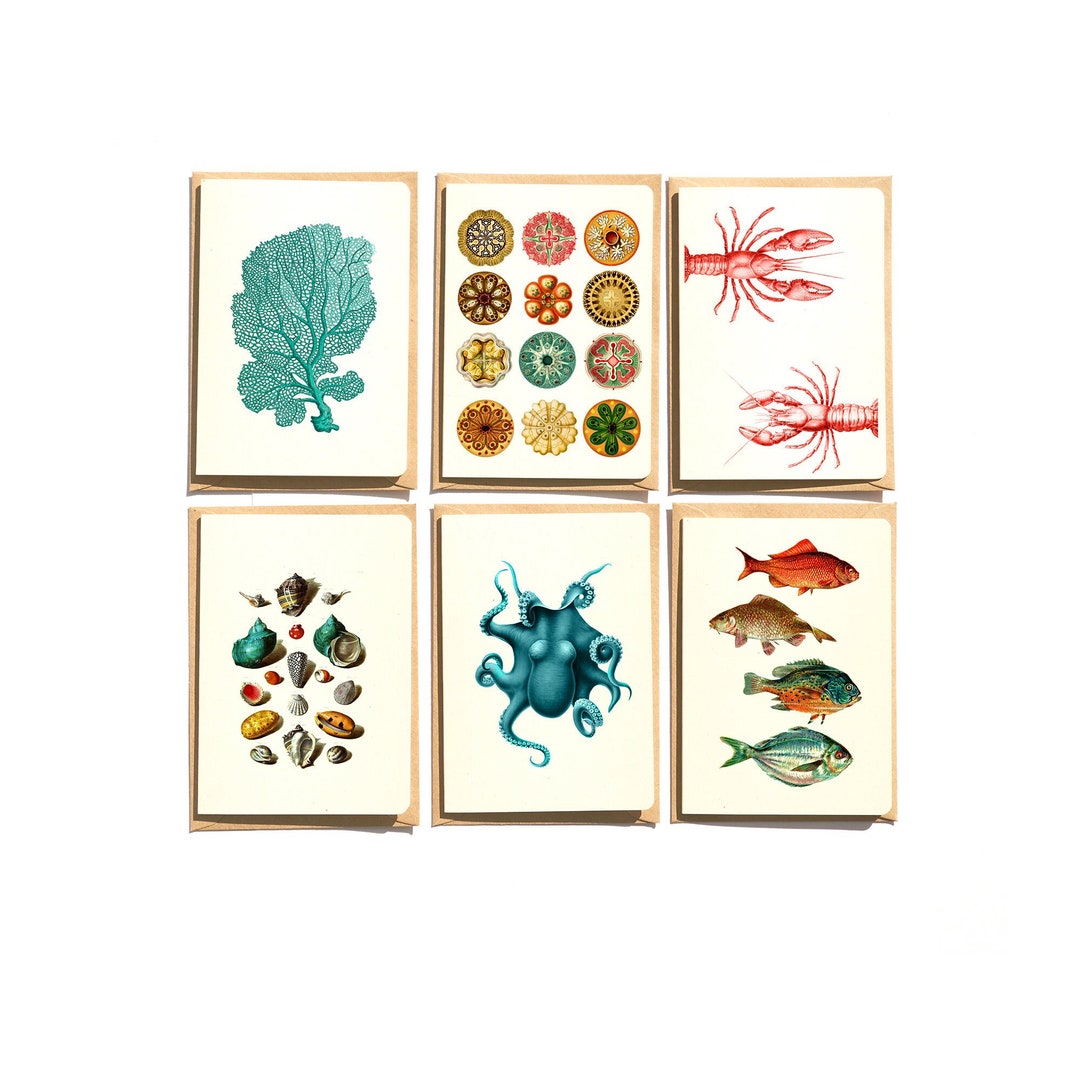 Sea Life Note Card Set: Vintage Ocean Greeting Cards - Etsy