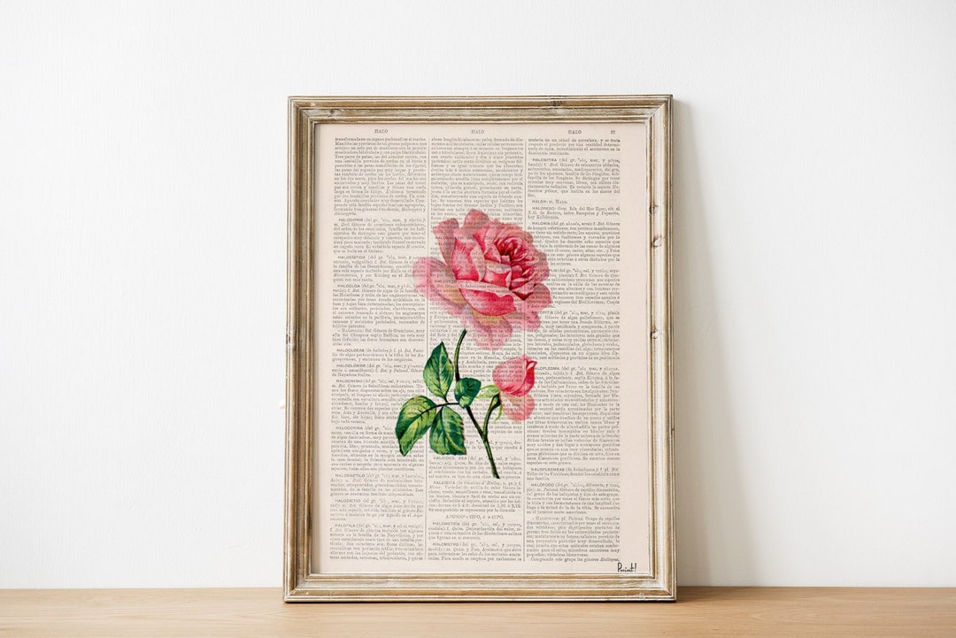 Pink Rose Art Print on Dictionary Page | Vintage Botanical Wall Decor ...