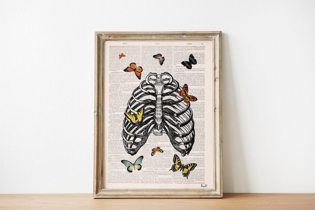 Artfull Anatomy Art: Butterfly and Rib Cage Collage Unique Dictionary ...