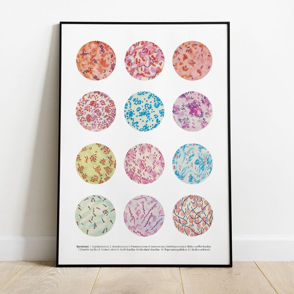 Microbiology Poster - Etsy
