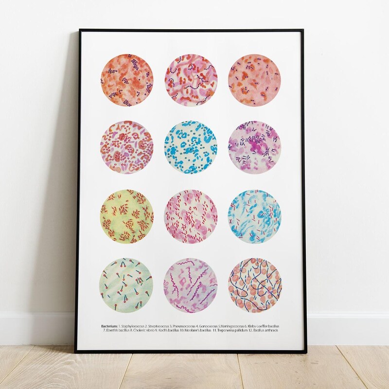 Bacteria Art - Etsy