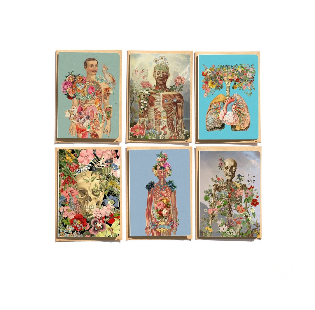 Anatomical Notecards Set: Skeleton & Floral Art, Medical Gift - Etsy