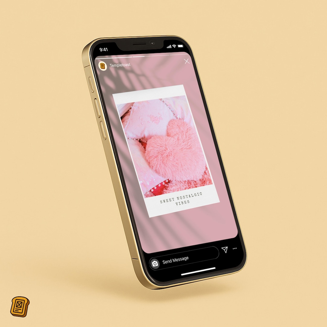 Polaroid Y2K Nostalgia Instagram Story Canva Template - Etsy UK
