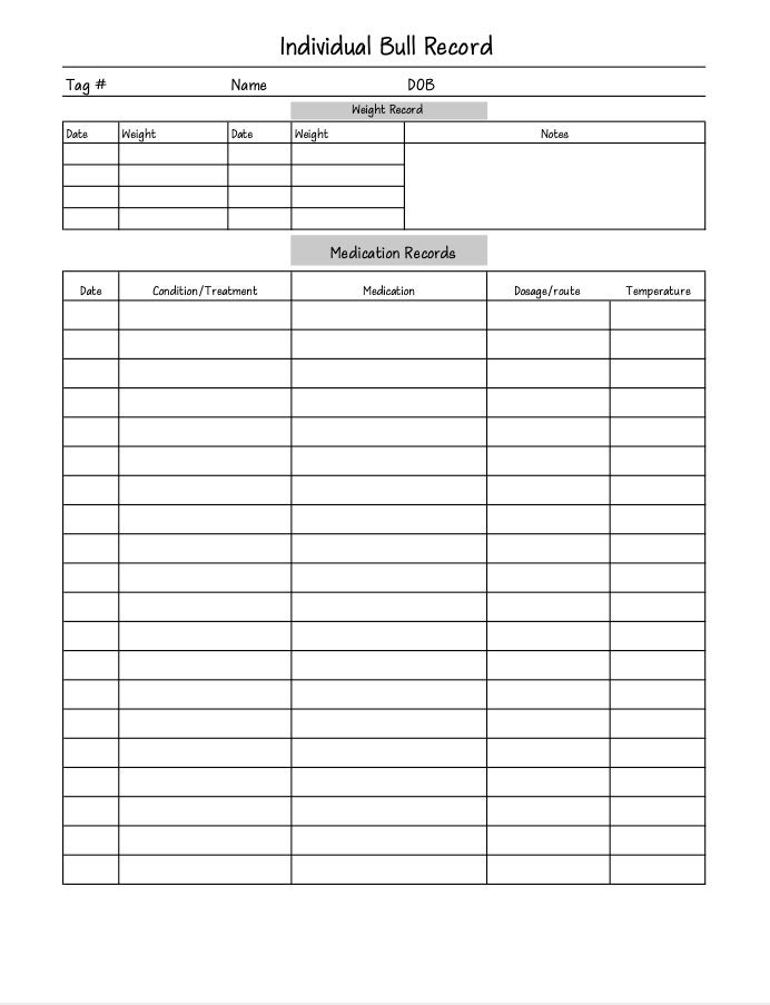 Individual Bull Record - Etsy