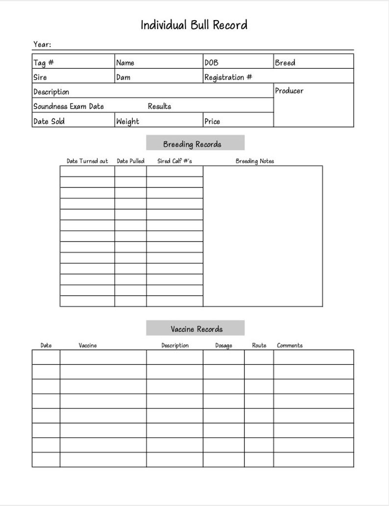 Individual Bull Record - Etsy