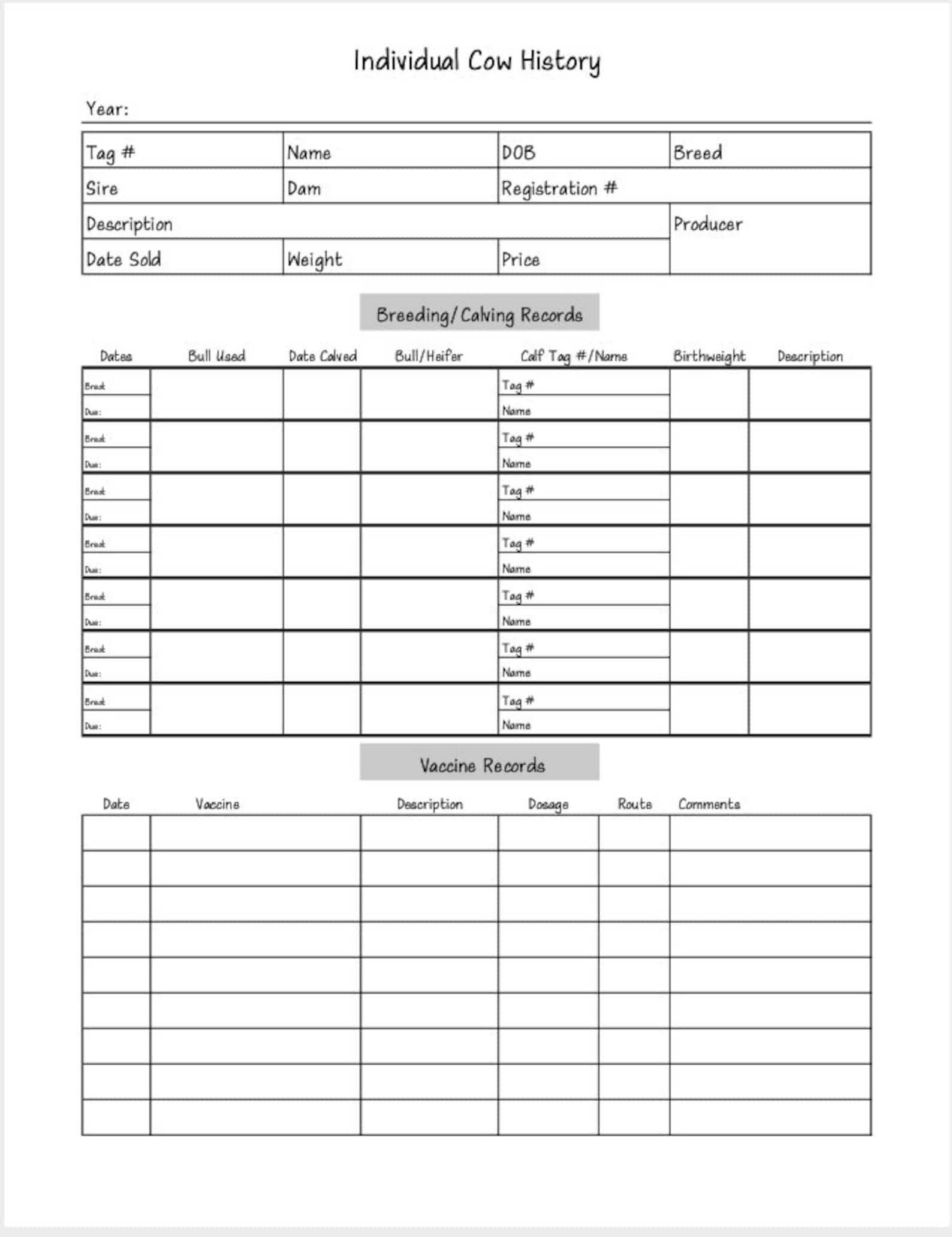 Individual Cow Record PDF Download - Etsy