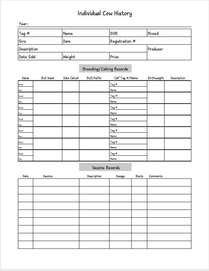 Individual Cow Record PDF Download - Etsy