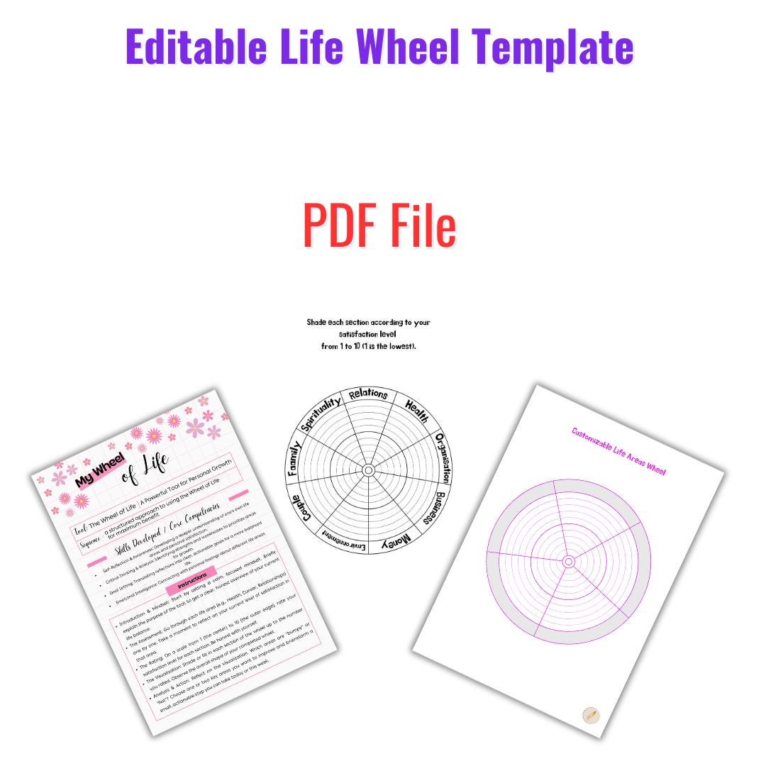 Life Wheel Template: Balance Assessment Printable (PDF Download) - Etsy