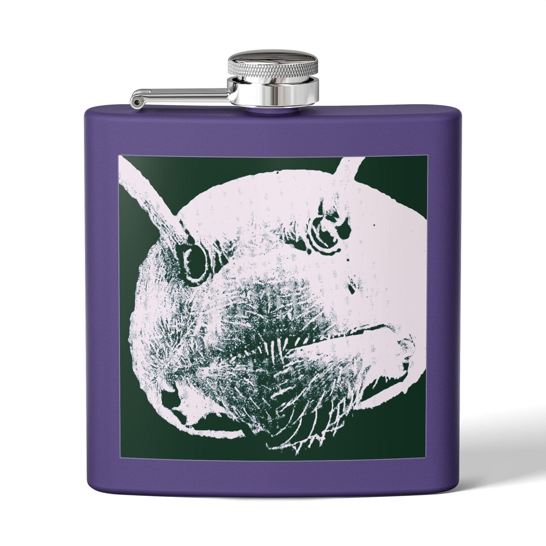 Ant Face Flask: Stainless Steel, Travel Companion - Etsy
