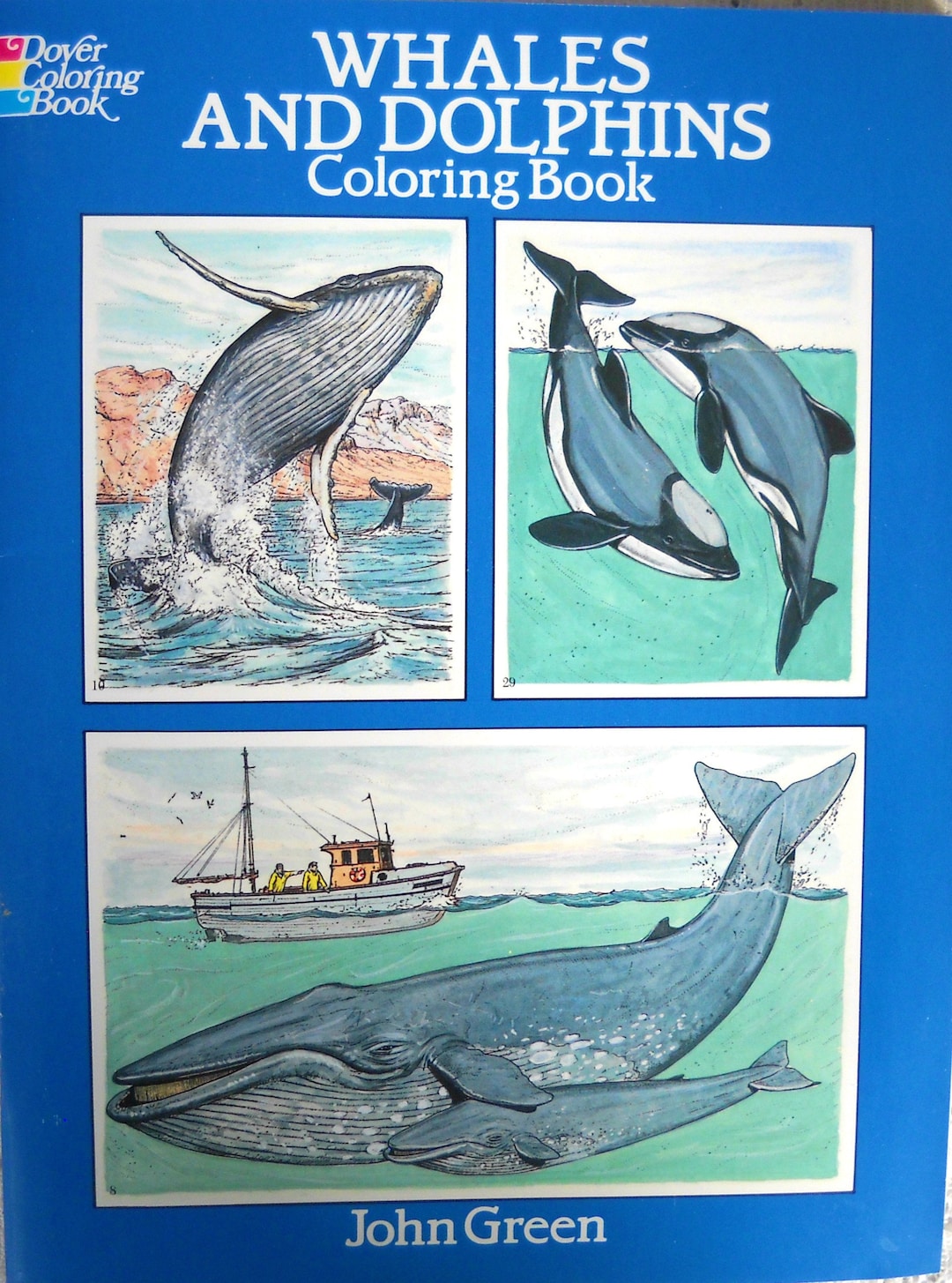 Whales and Dolphins Coloring Book, Dover Coloring Book, by John Green ...