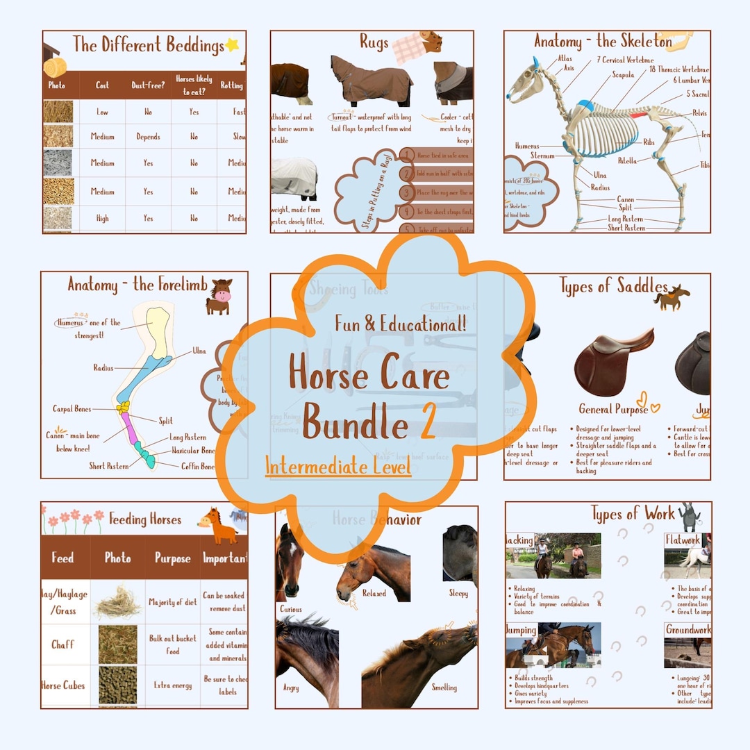 Horse Care Charts 2 - Intermediate Level - Pony Club Posters Printable ...