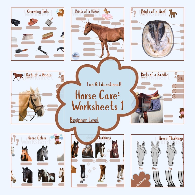 Horse Grooming - Etsy