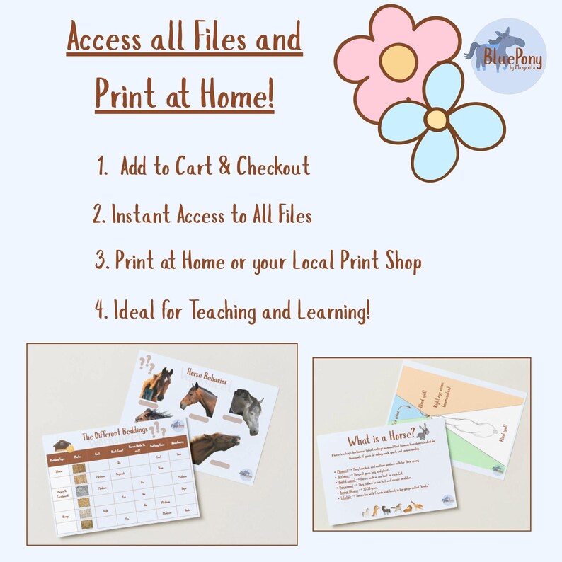 Pony Club Activities Pack | 3 Horse Care Lessons | Worksheets, Games ...