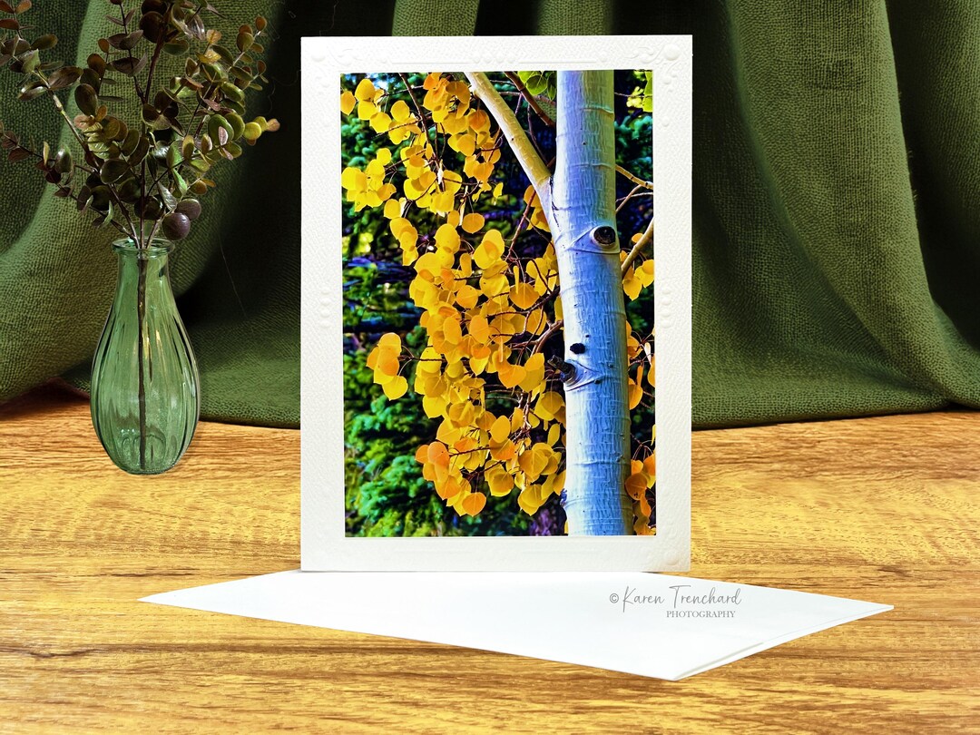 Aspen Tree Greeting Card | Colorado Fall Colors Photo Print | Handmade ...